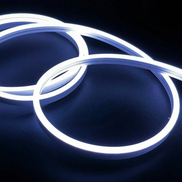 Cool White Neon Flex 6000K DC 12V IP65 8x16mm 120 LEDs/M 2.5cm Cut – UK ...